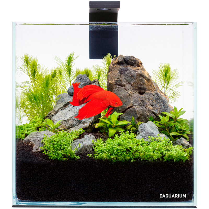 AQUALIGHTER Aquarium Set Pico 5l | Shopee Singapore