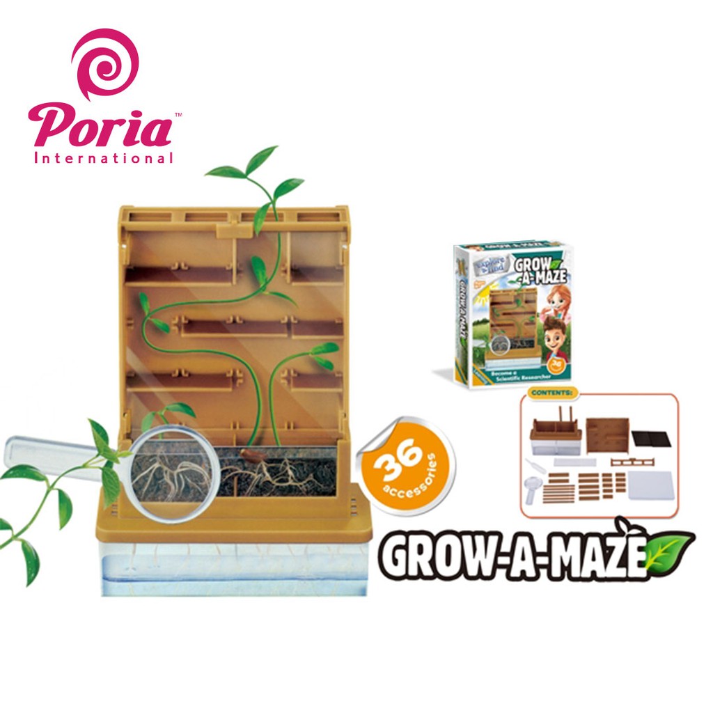 Science Can Explore & Find Grow A Maze Plant Kit: Embark on an ...