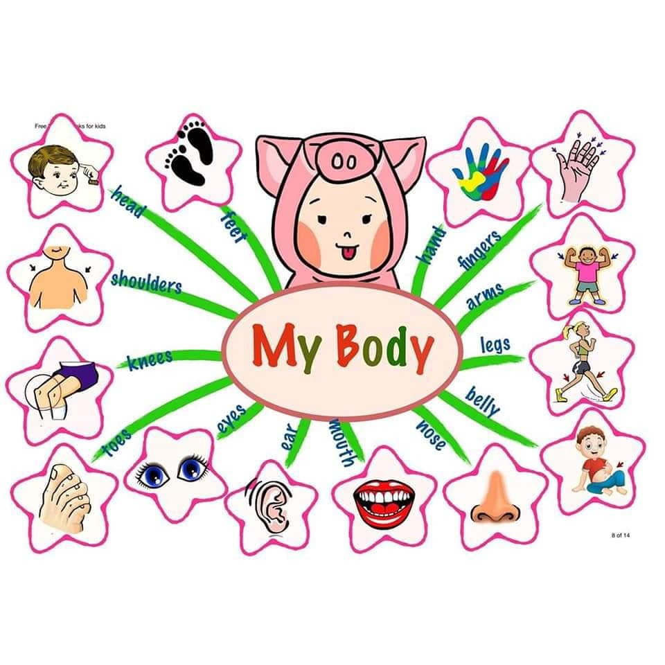 Mindmap mind map with 11 topics for children in A4 size | Shopee Singapore