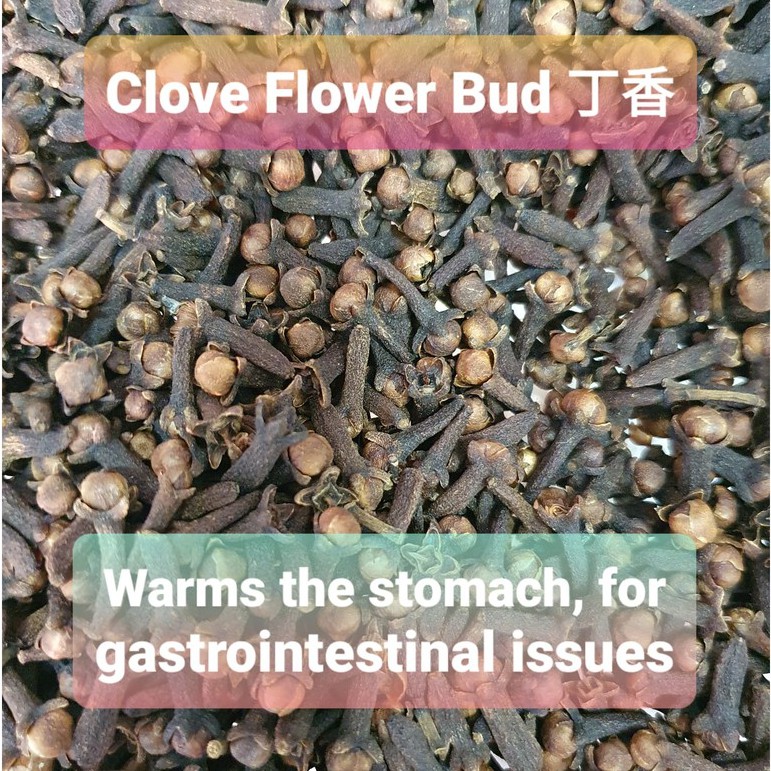 TCM Herb - Clove Flower Bud 丁香 for warming of stomach | Shopee Singapore