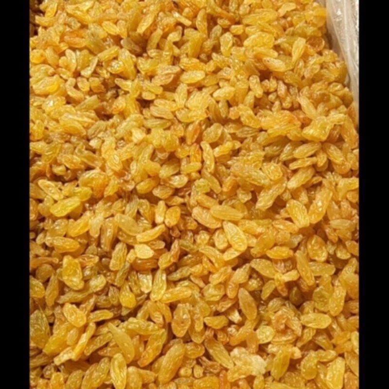 Indian RAISINS pet jar 500g | Shopee Singapore