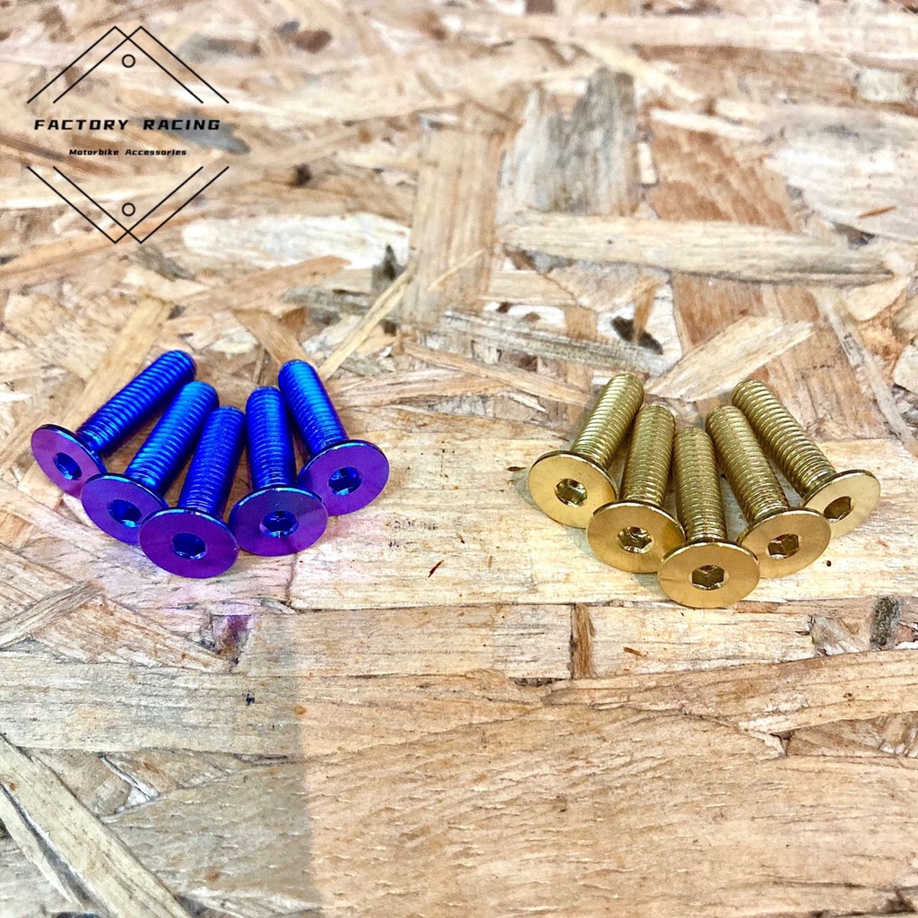 Titanium Screw Counter Sunk - M5 x 20 (1 pcs) | Shopee Singapore