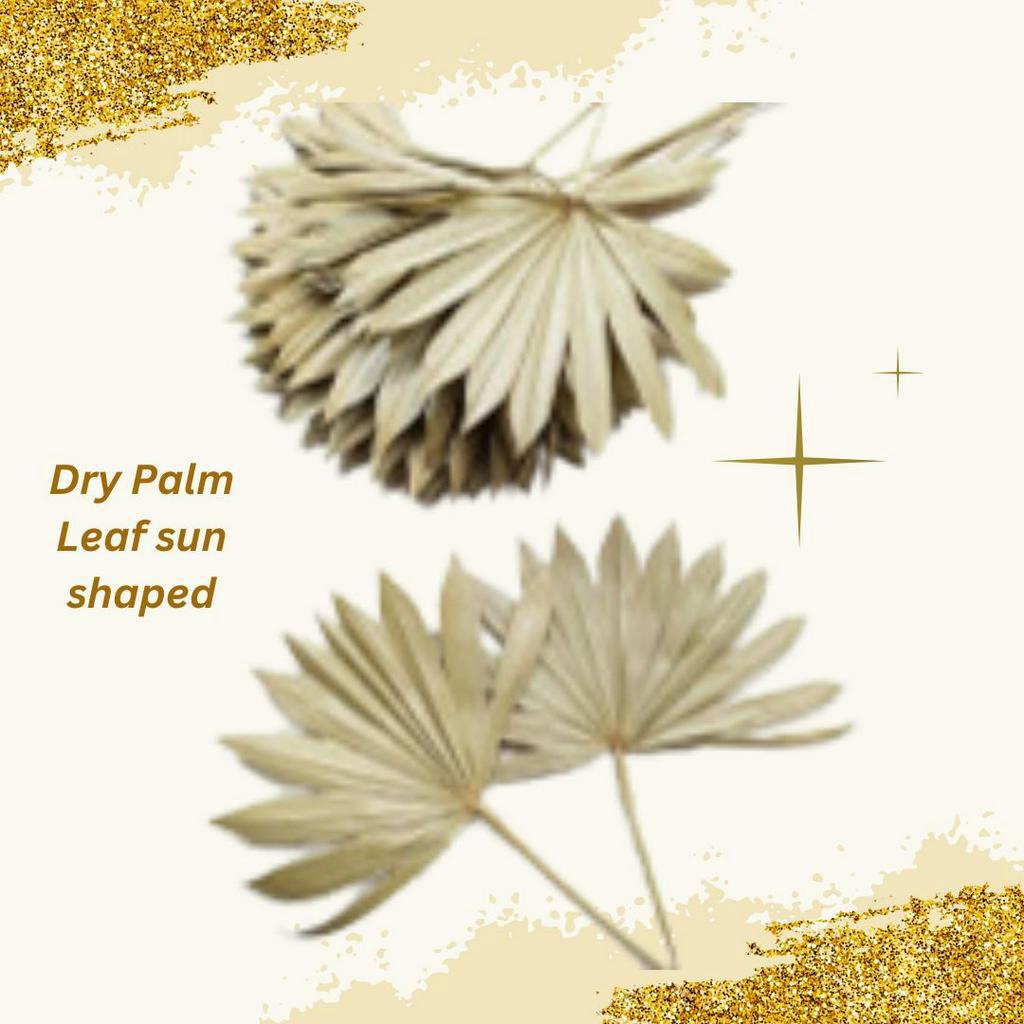 Dry Palm Leaf Sun palm Natural, preserved leaf, dried, home decor ...