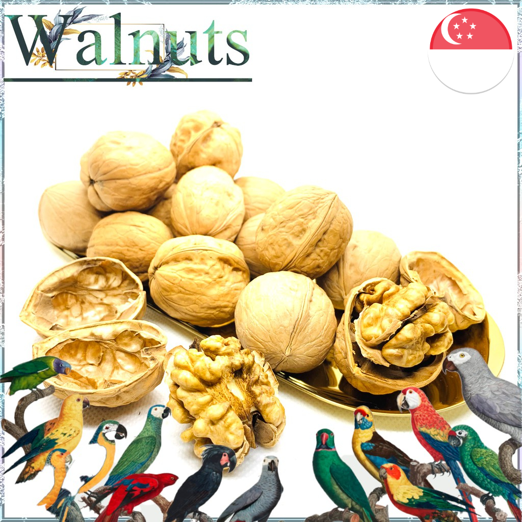 RAW Premium Walnuts With Paper Shell | Shopee Singapore