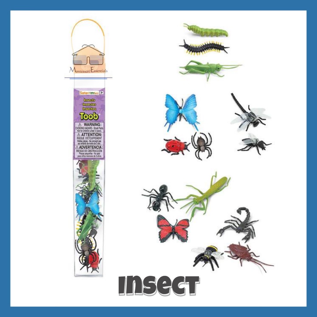Safari Toob: Insect [14 Type of Insects] | Shopee Singapore