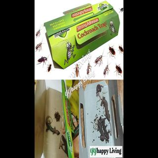 [SG Ready Stock]10pcs(1box) Lizard Trap & Cockroach Trap with baits ...