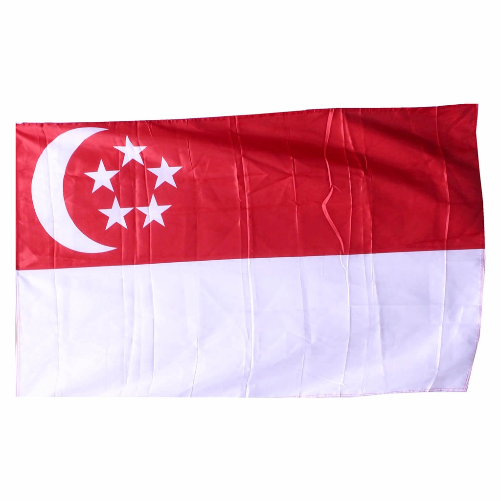 Partyforte NDP National Day Singapore Flag HDB - Size Decoration ...