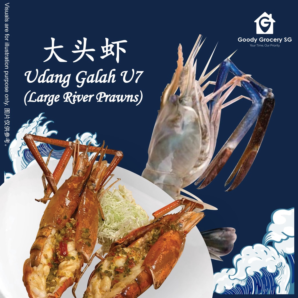 【Goody Grocery SG】Large River Prawns/Udang Galah/Scampi, U7, 1kg ...