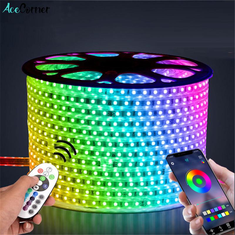 LED Strip Light Waterproof 220V RGB Remote control SMD 5050 Tape Phone ...