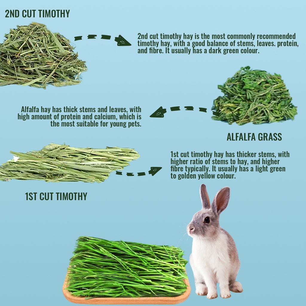 YEE Timothy Hay, Dry Grass For Bunny, Chinchilla, Guinea Pig, Rabbit ...