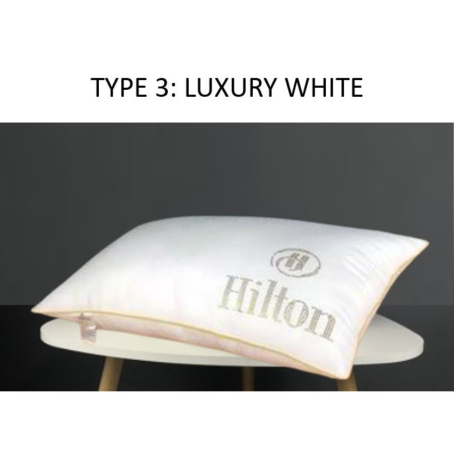 🔥CHEAPEST SALES🔥SG READY STOCK🔥Bundle Discount🔥 Hotel Grade Pillow ...