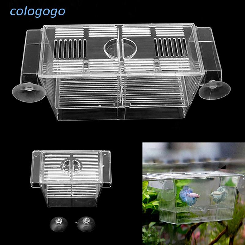 COLO Fish Separation Breeder Box 2 Sizes Transparent Fish Tank Breeding ...
