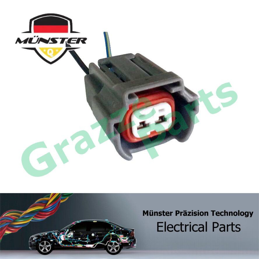 Münster 2-Pin Socket Fuel Injection MG003 Proton Waja | Shopee Singapore