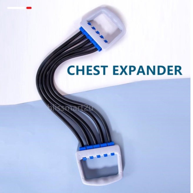 Chest Expander Home Gym Fitness 5 Spring Exercise Muscle Train Workout ...