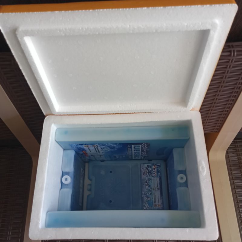 BM Styrofoam Box Package + Ice Pack Ice Cream Box / Fish Box | Shopee ...
