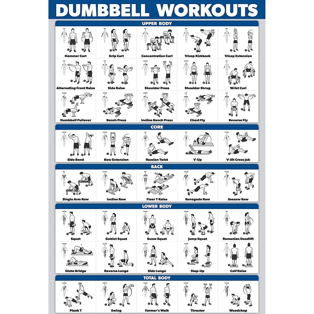 Dumbbell Workout Exercise Poster Laminated Free Weight Body Building ...