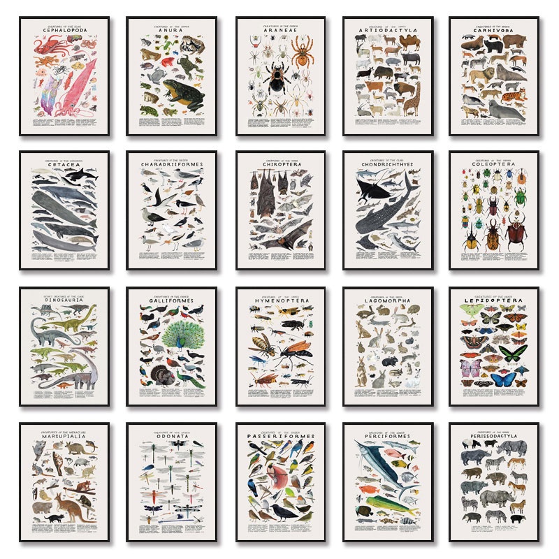 Retro Poster Science Animal Classification Education Wall Art Print ...