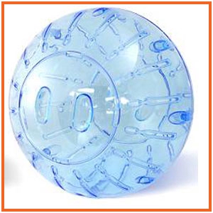 Chinchilla Exercise ball -blue 012 | Shopee Singapore