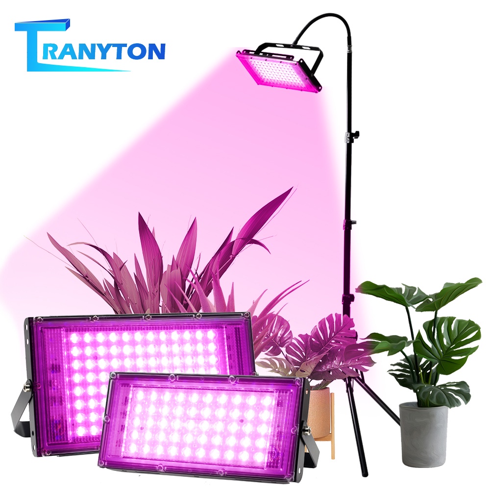 300w Led Grow Light Plant Wholesale