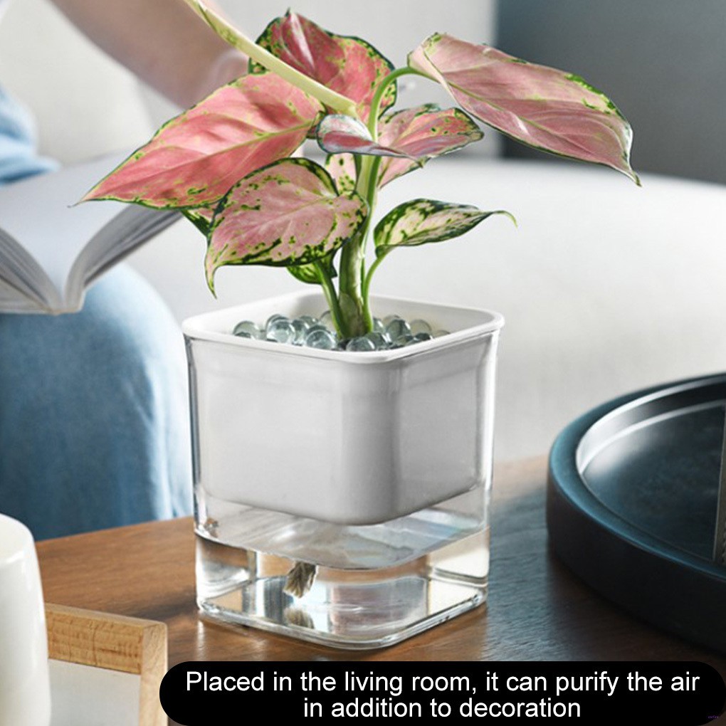 Automatic Water-absorbing Flowerpot Potted Hydroponic Plant Flower Pot ...