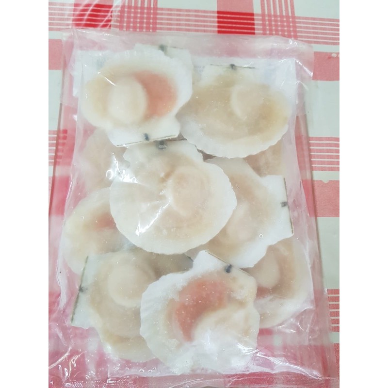 Frozen premium Half Shell Scallop with Roe (1pkt)(9-10 Large size ...