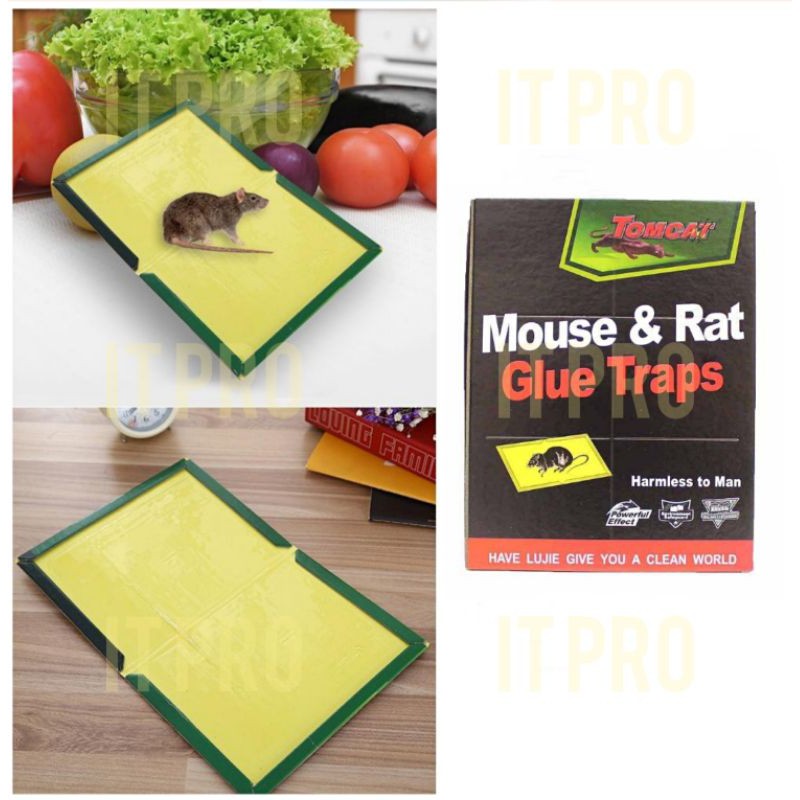 PRO Non-toxic Sticky Mouse & Rat Glue Traps (Yellow) | Shopee Singapore