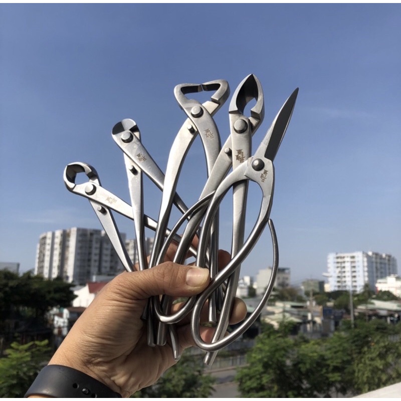 Slanted round scraper pliers, solid white cast steel, bonsai bonsai ...