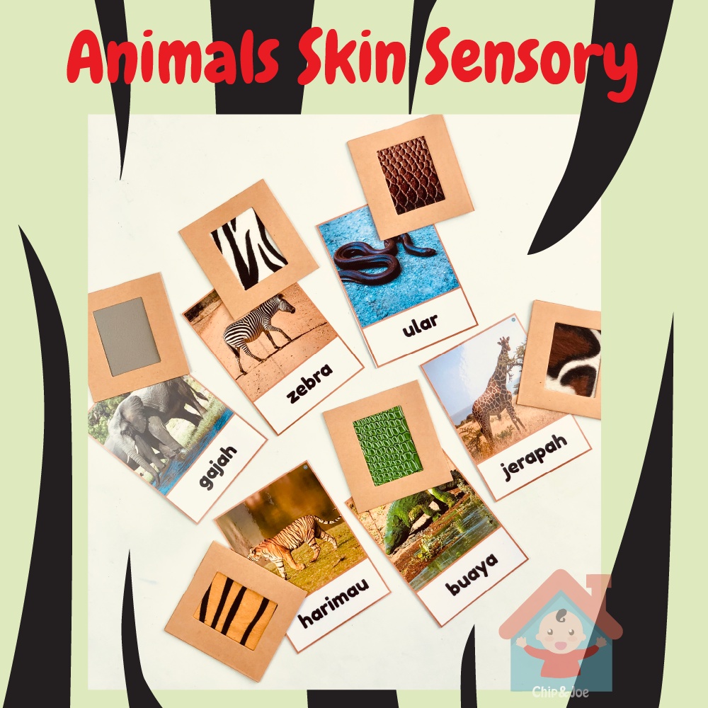 Animals Skin Sensory Montessori Animals Learning Skin | Shopee Singapore