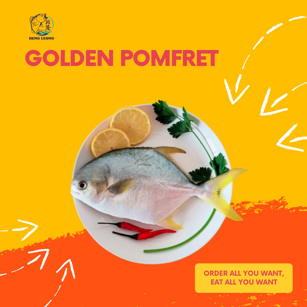 Heng Leong-Fresh Golden Pomfret/金鲳 | Shopee Singapore