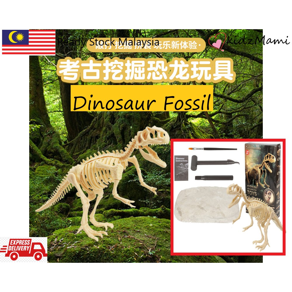 Dinosaur Fossil Excavation Digging Kit 3D DIY Dinosaur Bone Building ...