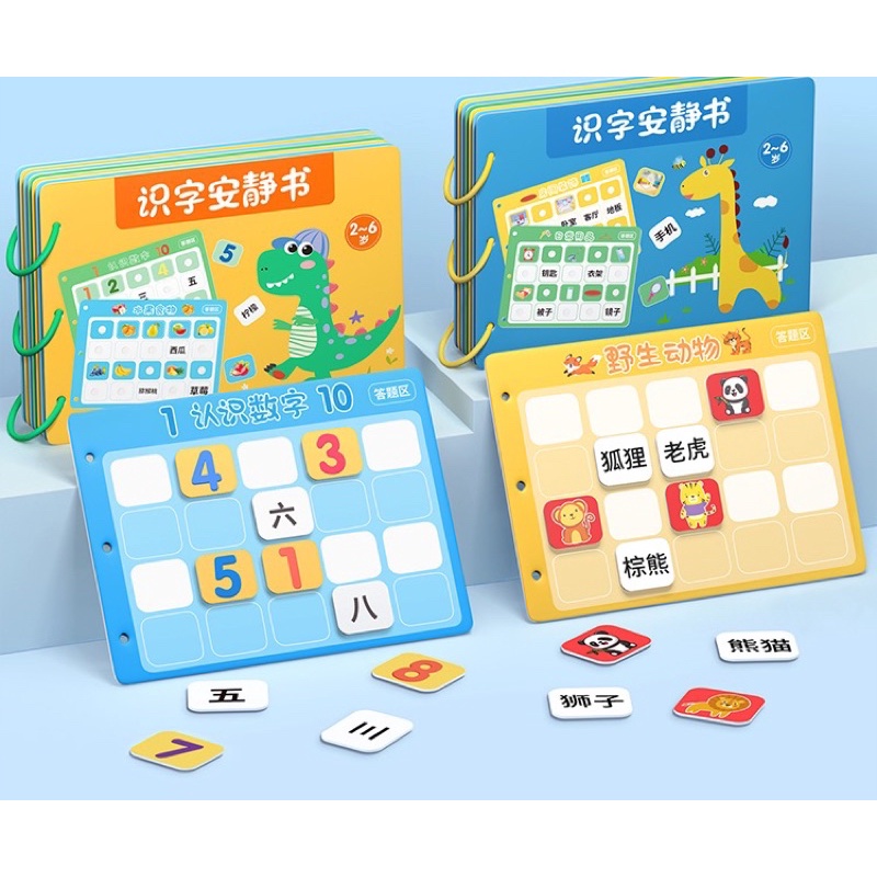 🌟READY STOCK 🌟 识字日常篇 Chinese Early Learners Educational Children ...