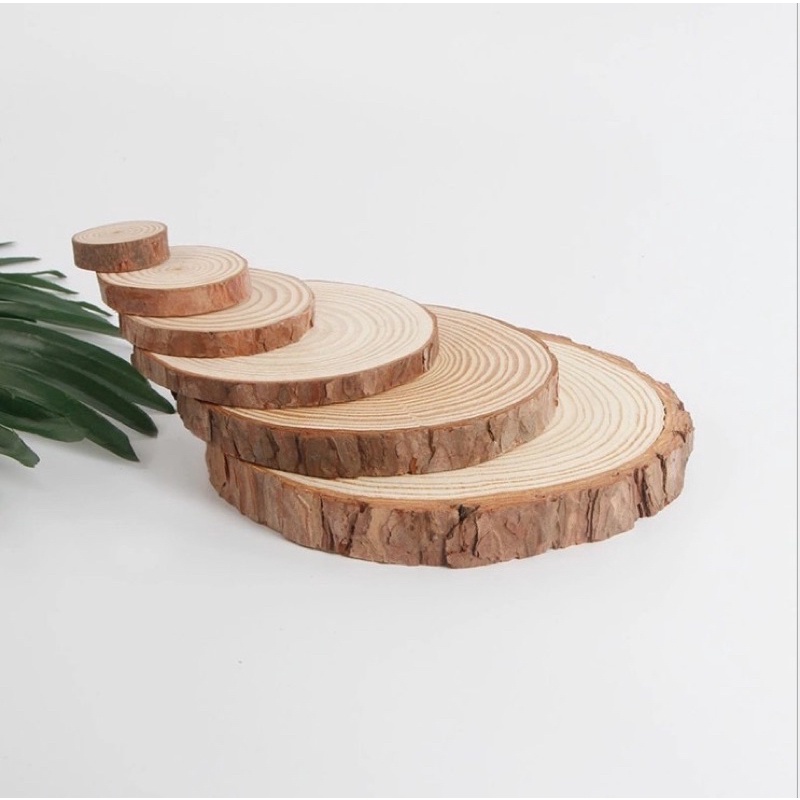 SG Instocks round wooden wood piece block plank log many sizes | Shopee ...