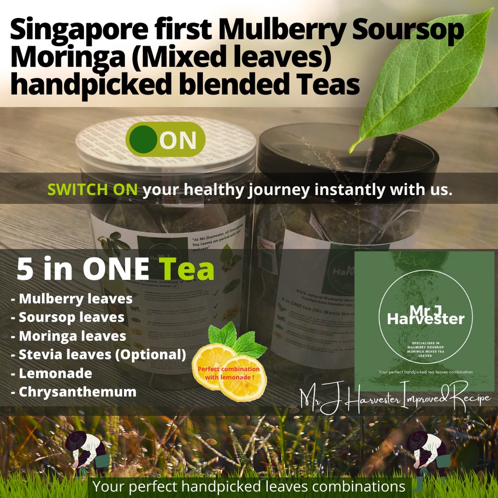 100% Natural handpicked Mulberry Soursop Moringa (Mixed leaves) 5 in 1 ...