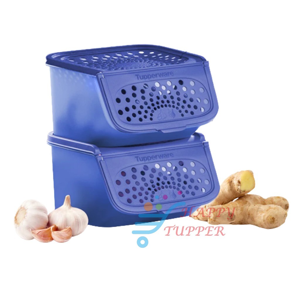 Tupperware Garlic Keeper (2.3L & 3.0L) | Shopee Singapore