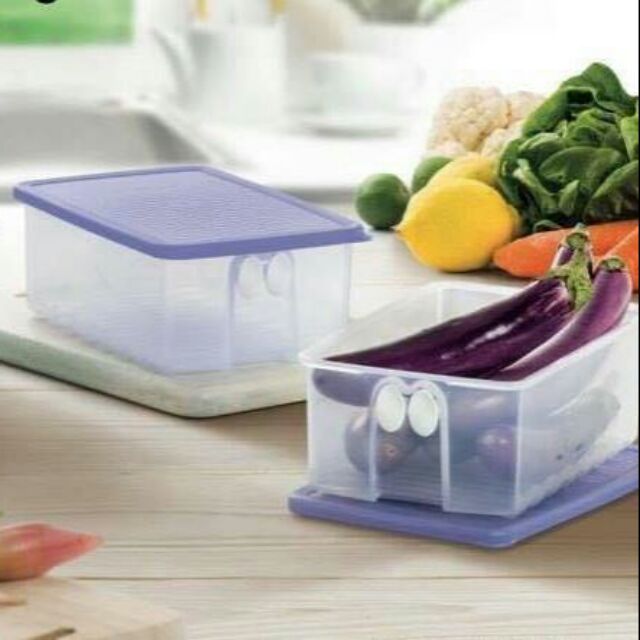 Tupperware fridgesmart 1.6L (1 pc) | Shopee Singapore