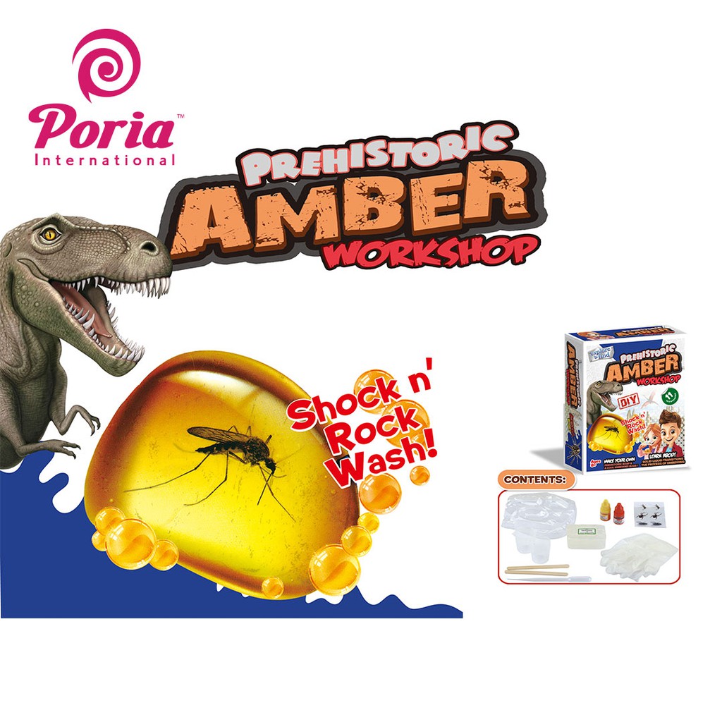 Prehistoric Amber Workshop Chemical Experiment Amber Set Scientific ...