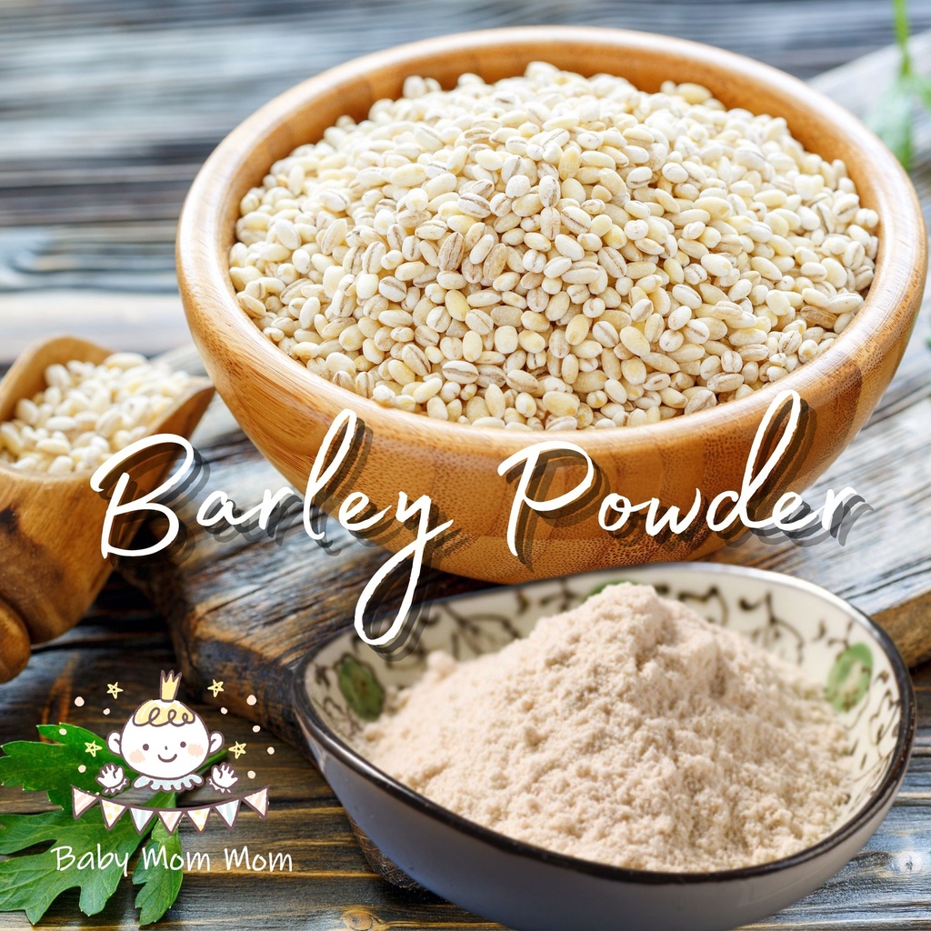 Barley Powder (Cooked) 100g -500g | Organic Barley Powder 薏米粉 (熟 ...