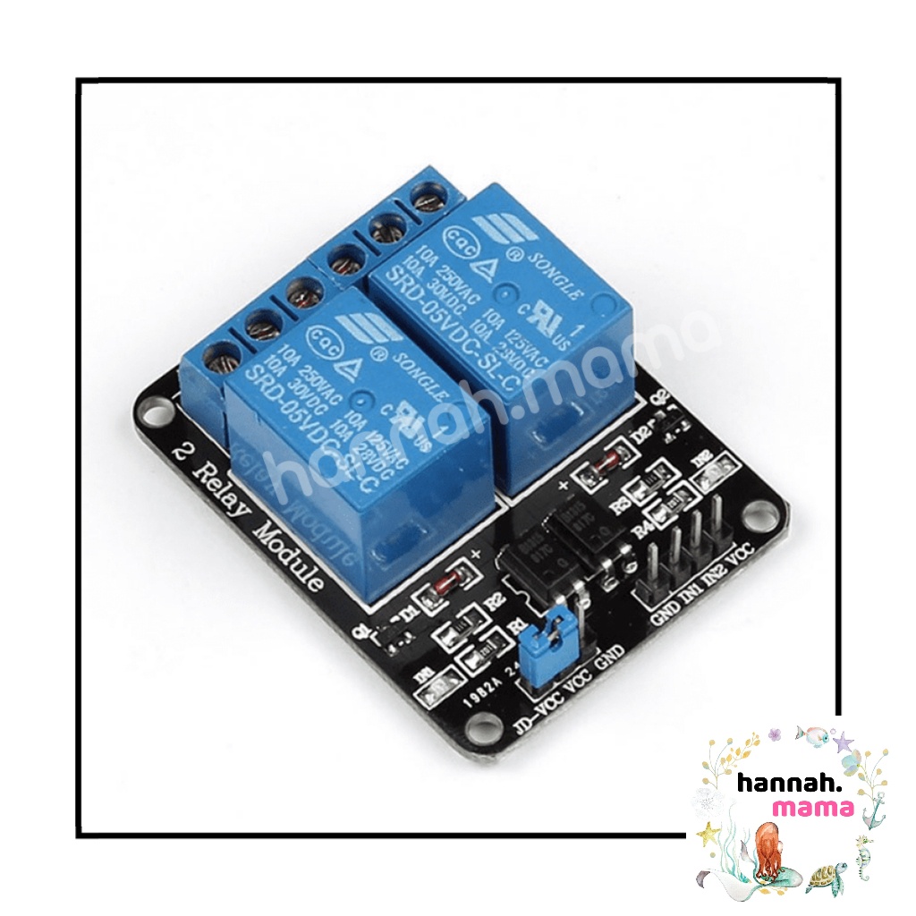 Standard 2 Channel Relay Control Module ( 5V / 12V / 24V ) Optional ...