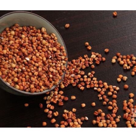 Red Glutinous BARLEY RED BARLEY 250G | Shopee Singapore