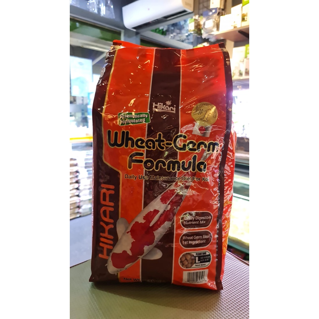 Hikari Wheat-Germ Large Pellet Formula Floating Food for Koi Fish, 5kg ...