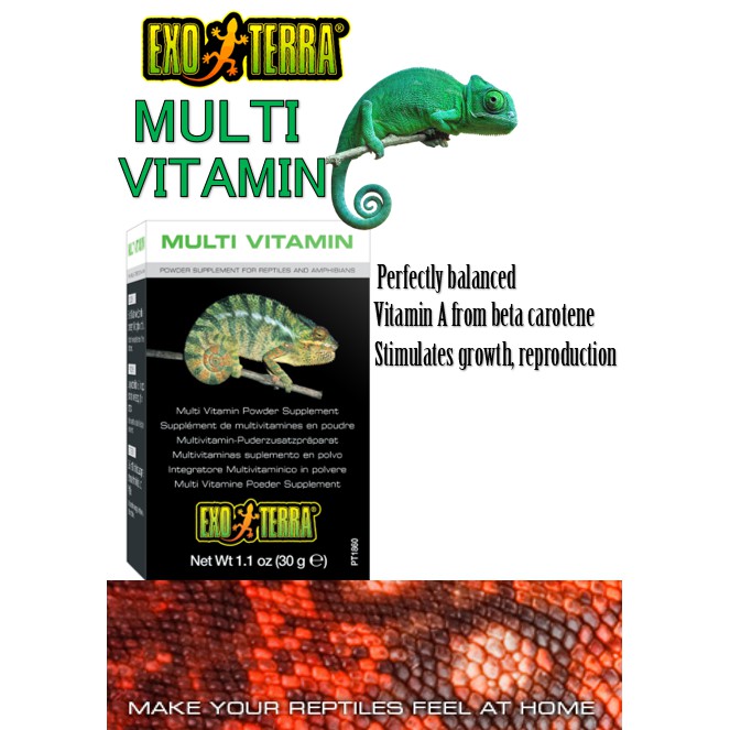 EXO TERRA REPTILE MULTI VITAMIN POWDER SUPPLEMENT 30G -PT1860 | Shopee Singapore