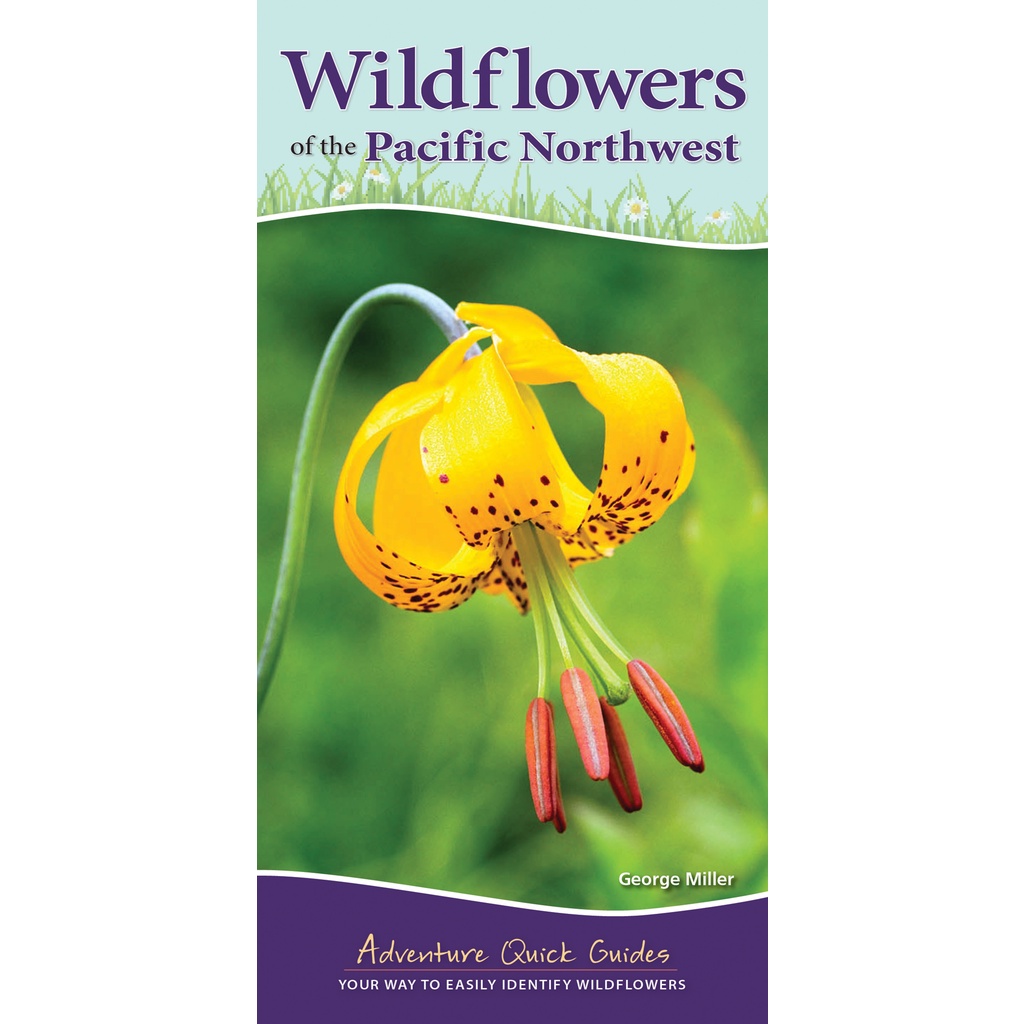Wildflowers of the Pacific Northwest - Your Way to Easily Identify ...