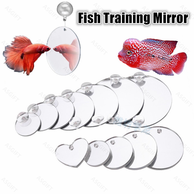 Aquarium Betta Training Mirror Acrylic Hang-on Floating Mirror For Fish ...