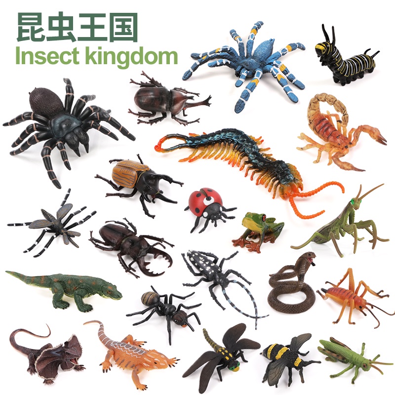Action Figure Anime Toys Set Insect Large Bugs learning Model Early ...