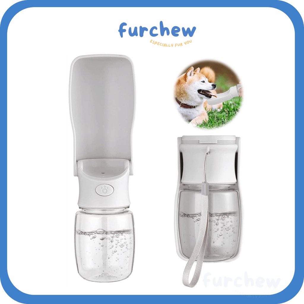 [SG] Pet Outdoor Foldable Portable Water Bottle for Dogs & Cats - 350ml ...
