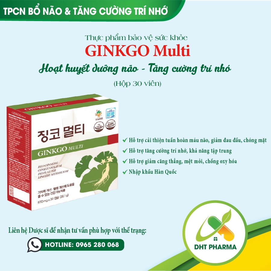 Ginkgo MULTI Activity Blood Brain Care, Support Memory Enhancement (Box ...