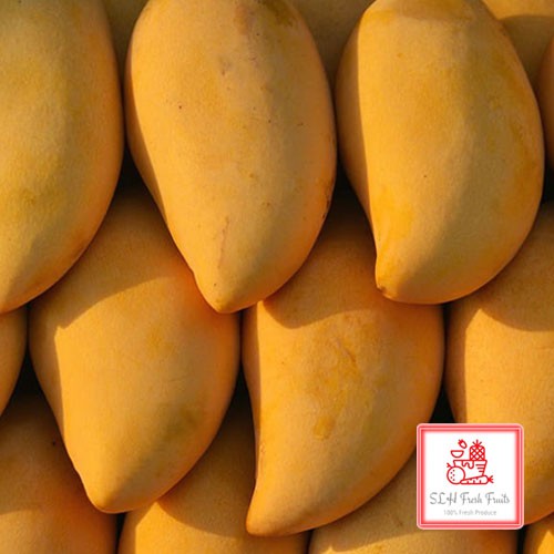 SLH Thai Honey Mango 泰国芒果 300-350g | Shopee Singapore