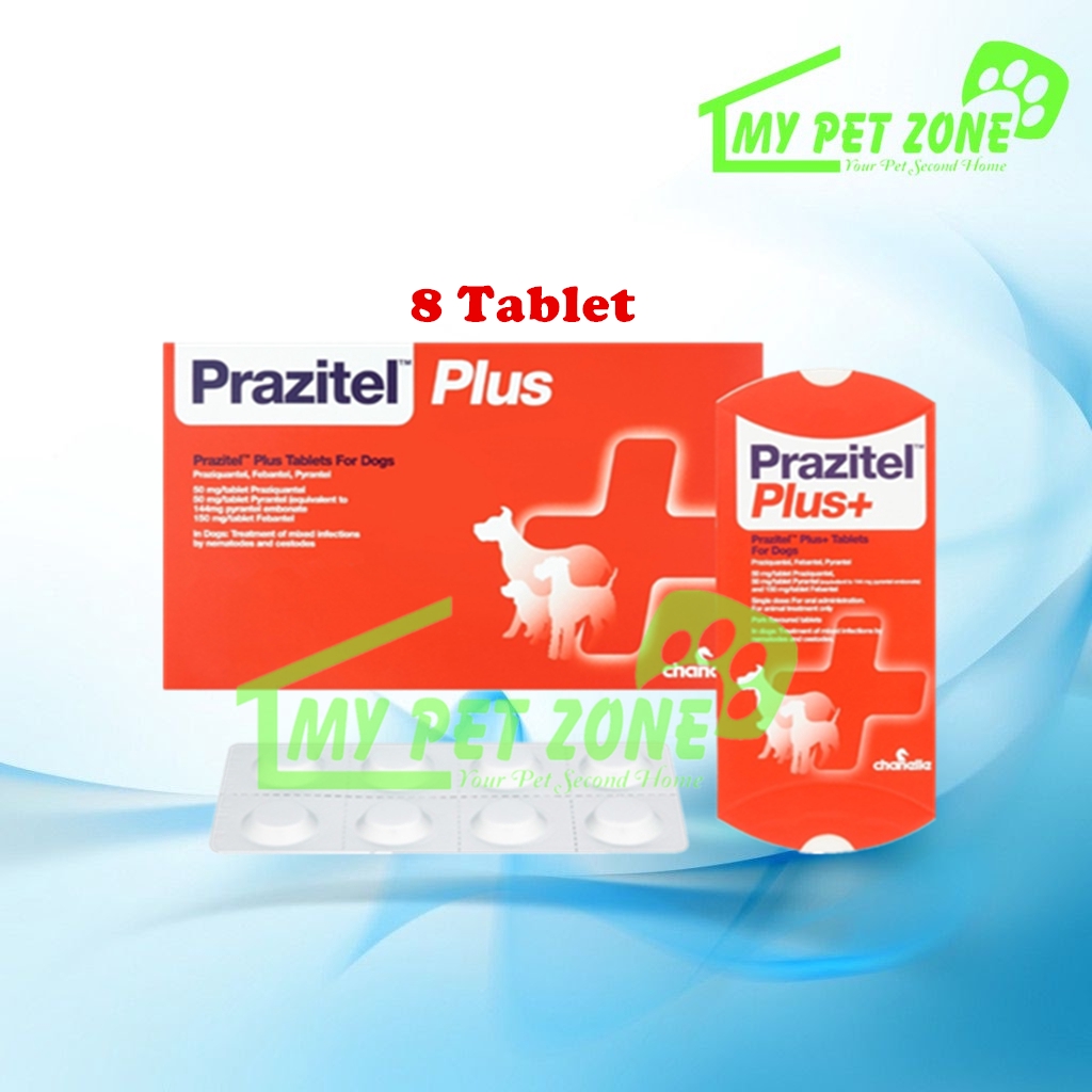 Prazitel Plus+ Dewormer (Dog) X 8Tablets Worming Tablet | Shopee Singapore