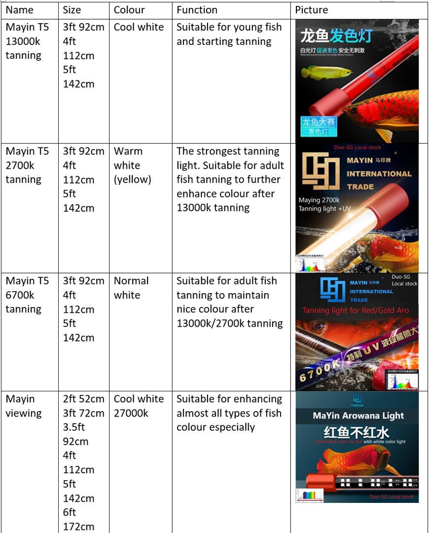 🔥Mayin authorized SG seller🔥Mayin fish light tanning light 13000k/2700k ...