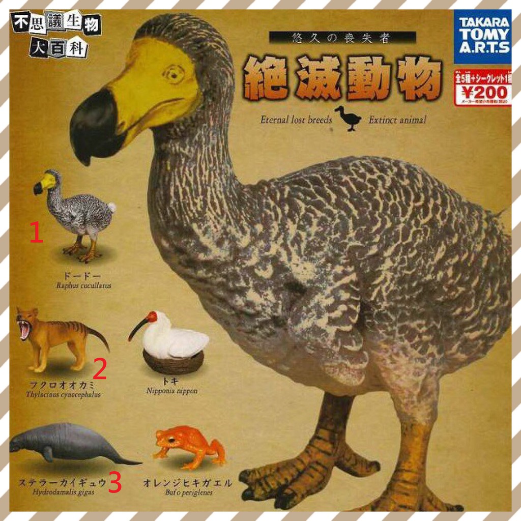 [Wishing Capsule Toy Machine] Single Incredible Encyclopedia 1-Extinct ...